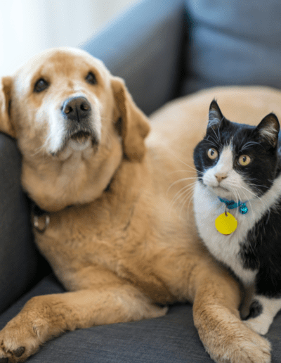 Welcome - Frontier Ridge Apartments